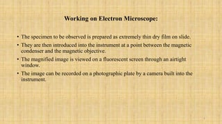 Electron microscope 1 | PPT