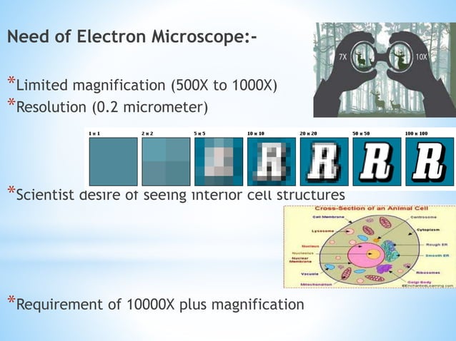 Electron microscope | PPT