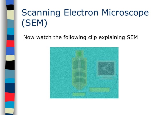 Electron microscope | PPT