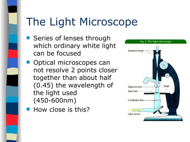 Electron microscope | PPT