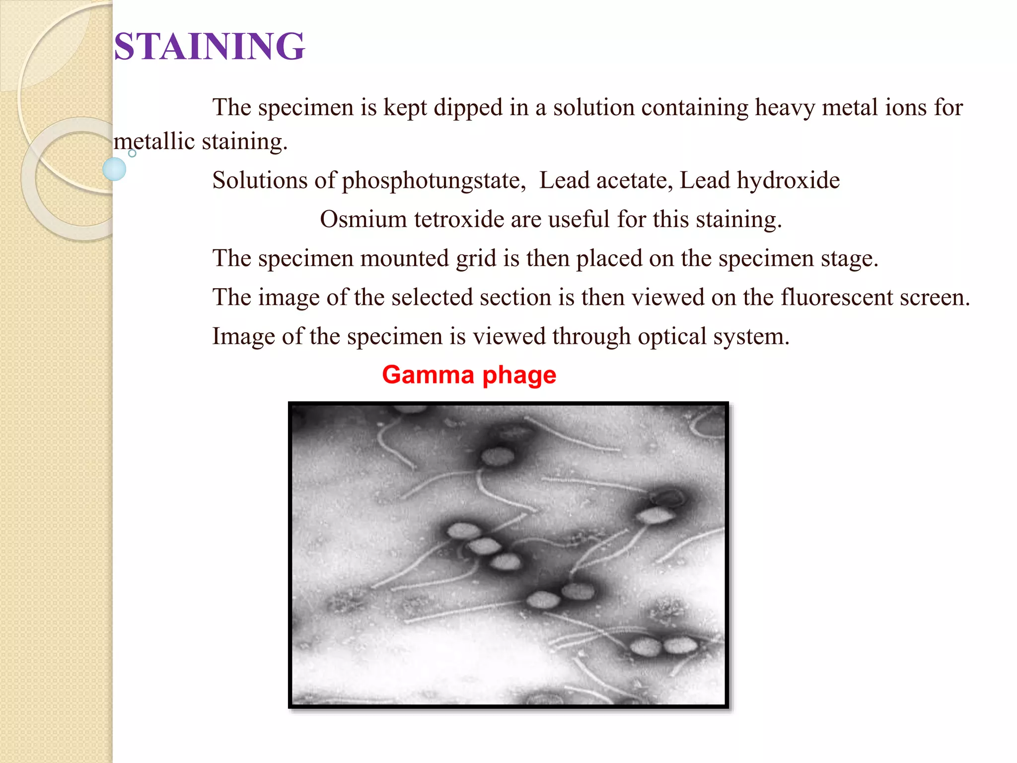 Electron microscope ppt | PPTX