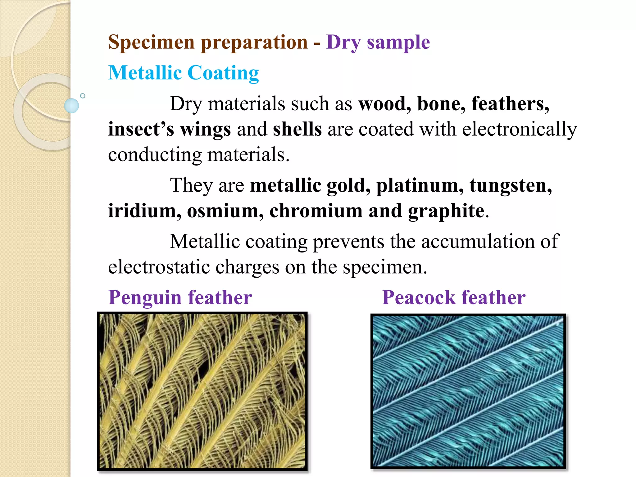 Electron microscope ppt | PPTX