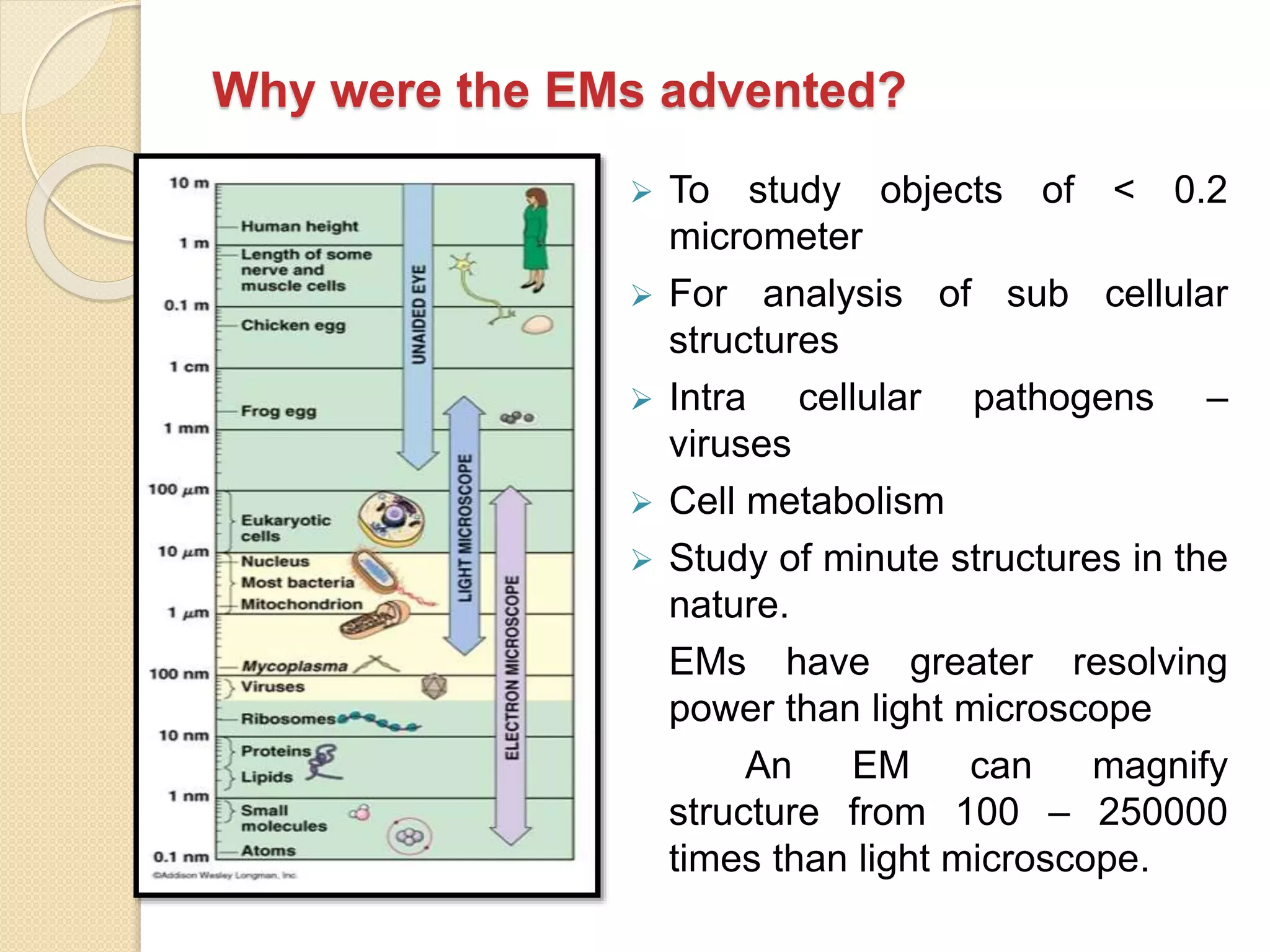 Electron microscope ppt | PPTX