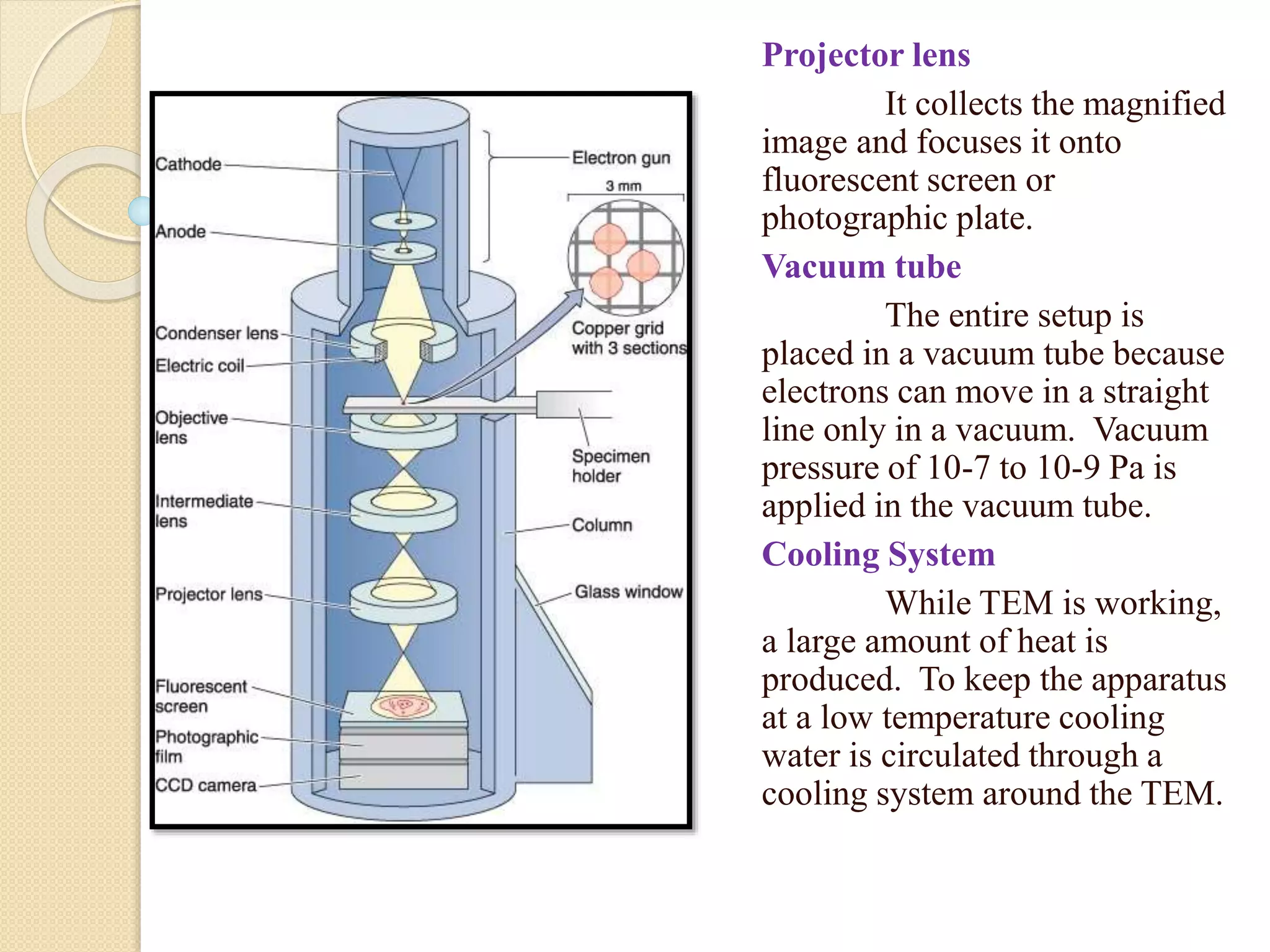 Electron microscope ppt | PPTX