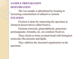 Electron microscope ppt | PPTX