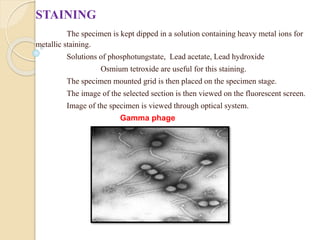 Electron microscope ppt | PPTX