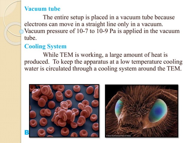 Electron microscope ppt | PPTX | Physics | Science