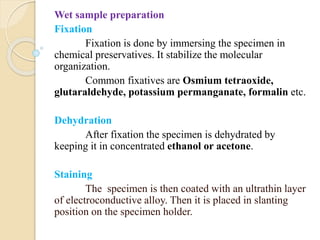 Electron microscope ppt | PPTX