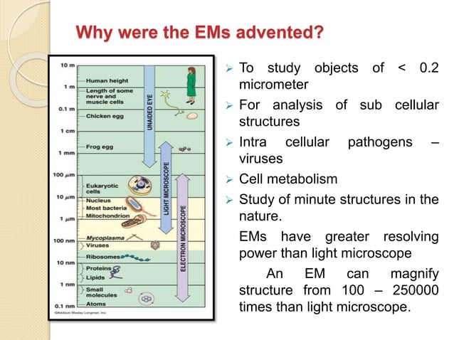 Electron microscope ppt | PPTX | Physics | Science
