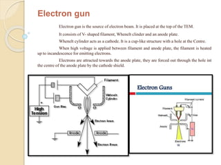 Electron microscope ppt | PPTX