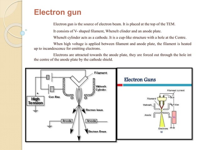 Electron microscope ppt | PPTX | Physics | Science