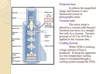 Electron microscope ppt | PPTX