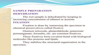 ELECTRON MICROSCOPE TYPES: SEM & TEM NOTES PPT | PPTX
