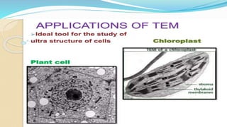 ELECTRON MICROSCOPE TYPES: SEM & TEM NOTES PPT | PPTX