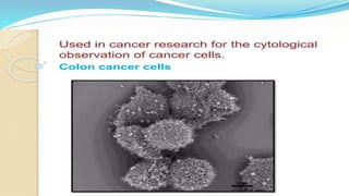 ELECTRON MICROSCOPE TYPES: SEM & TEM NOTES PPT | PPTX