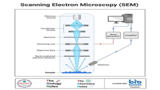 ELECTRON MICROSCOPE TYPES: SEM & TEM NOTES PPT | PPTX