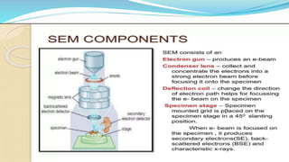 ELECTRON MICROSCOPE TYPES: SEM & TEM NOTES PPT | PPTX