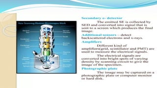 ELECTRON MICROSCOPE TYPES: SEM & TEM NOTES PPT | PPTX