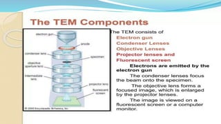 ELECTRON MICROSCOPE TYPES: SEM & TEM NOTES PPT | PPTX