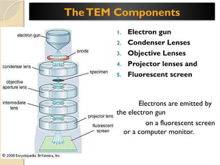 electron microscopes ppt lecture 4.pptx