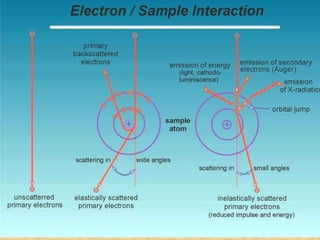 Electron microscopy | PPTX