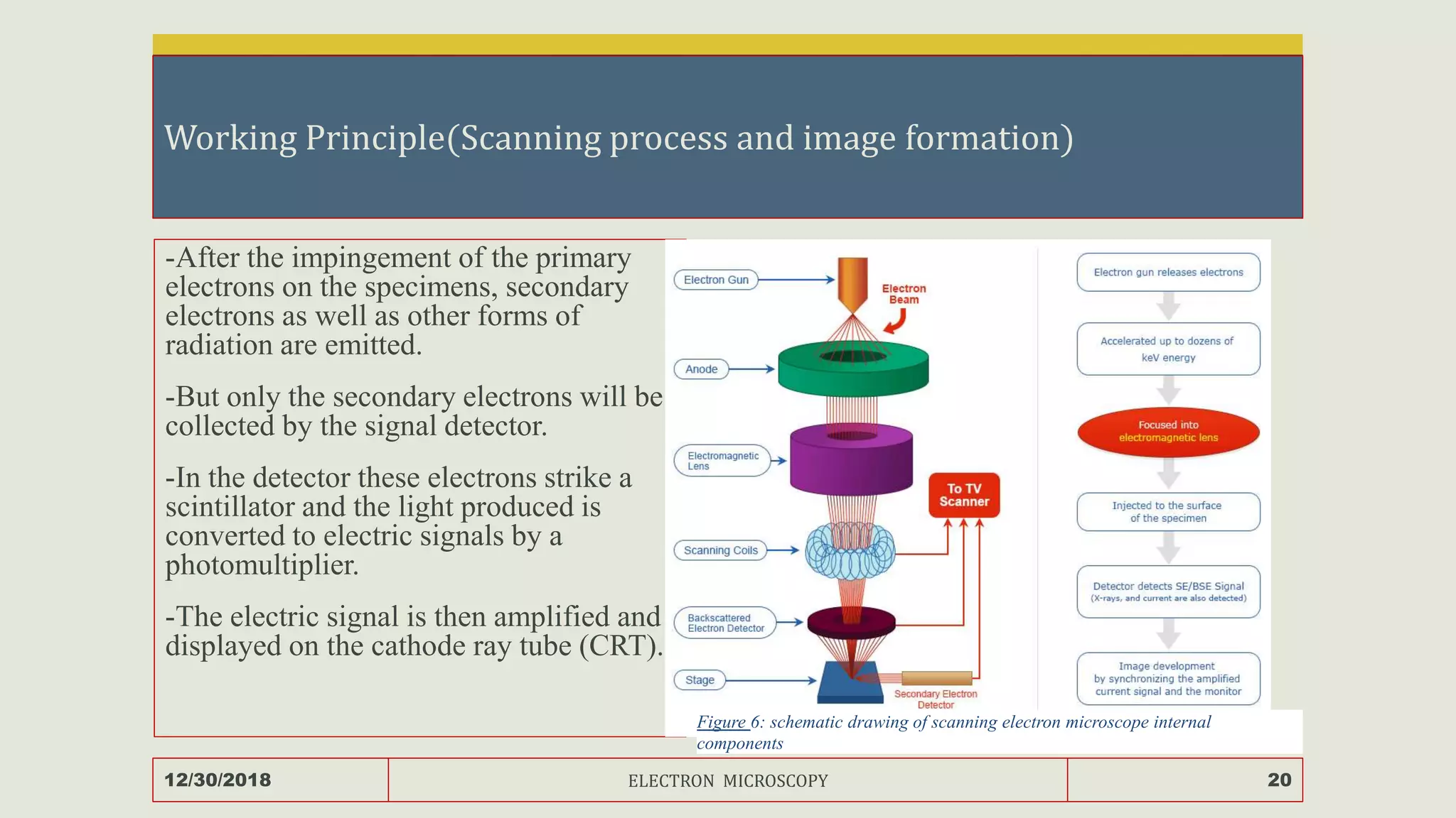 Electron microscopy | PPTX