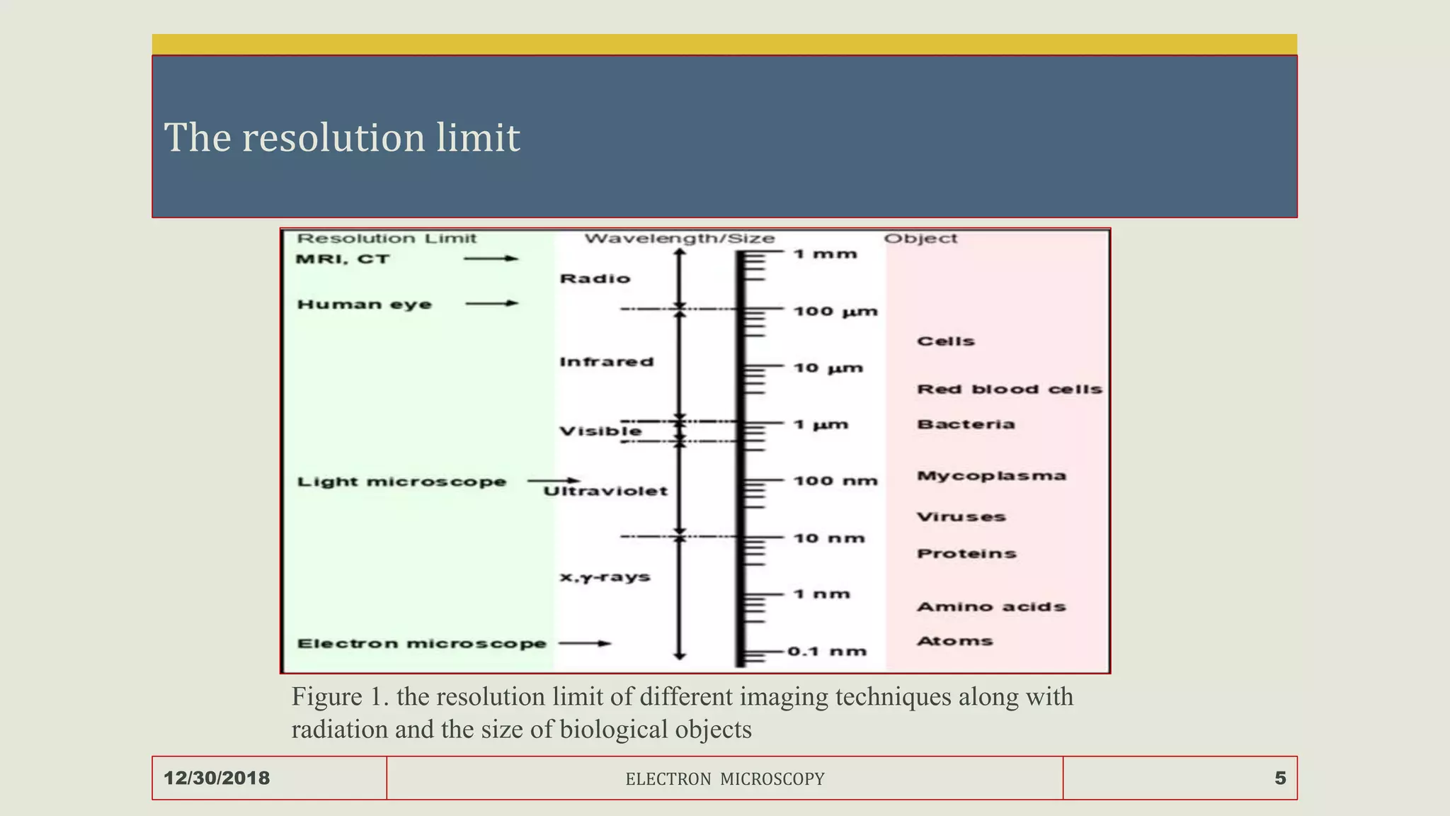 Electron microscopy | PPTX