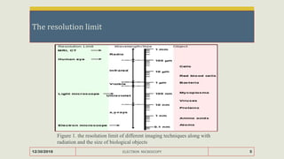Electron microscopy | PPT