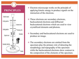 Electron microscopy (EM) | PPTX
