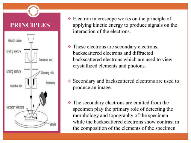 Electron microscopy (EM) | PPTX