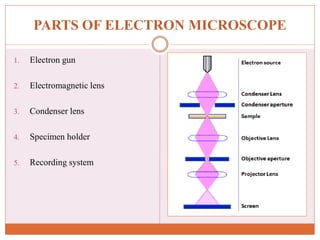 Electron microscopy (EM) | PPT