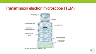 Electron microscopy | PPT
