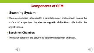 Electron microscopy | PPT