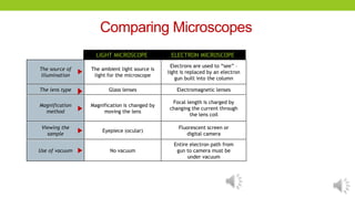 Electron microscopy | PPTX