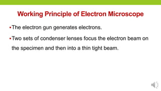 Electron microscopy | PPT