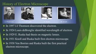 Electron Microscopy By Rimsha Khan.pptx