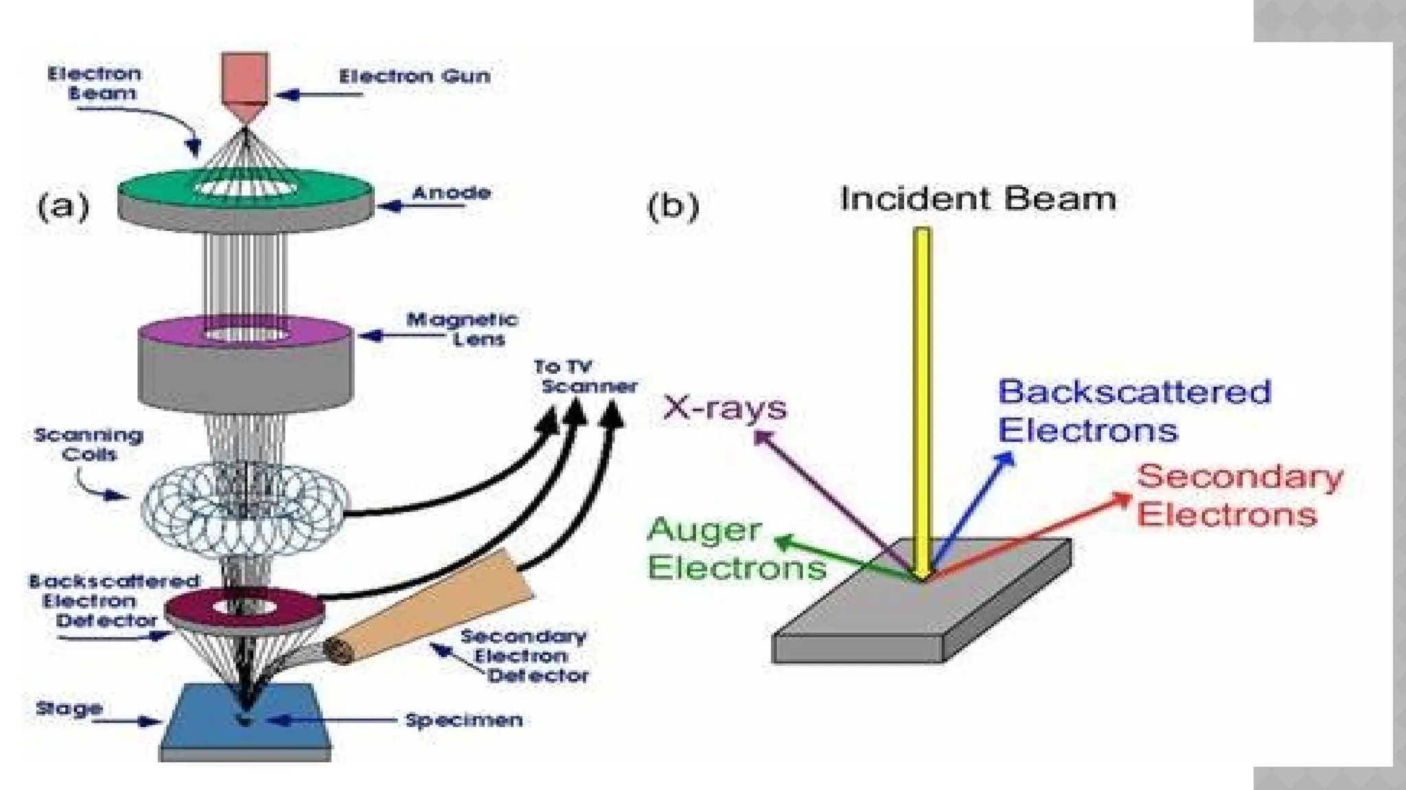 Presentation of Electron Microscopy.pptx