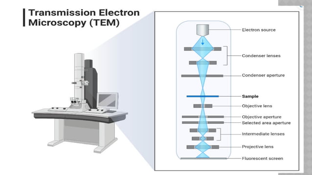 Presentation of Electron Microscopy.pptx