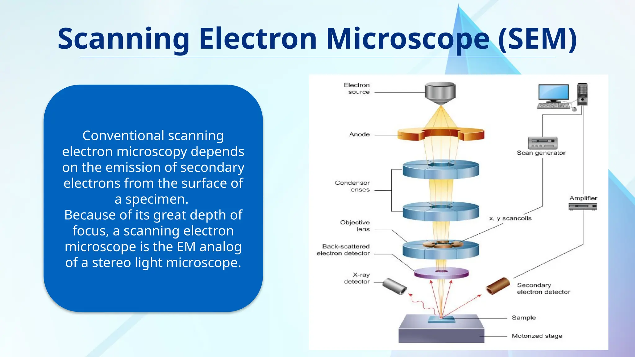 electron microscopy, types, Scanning electron microscope and ...
