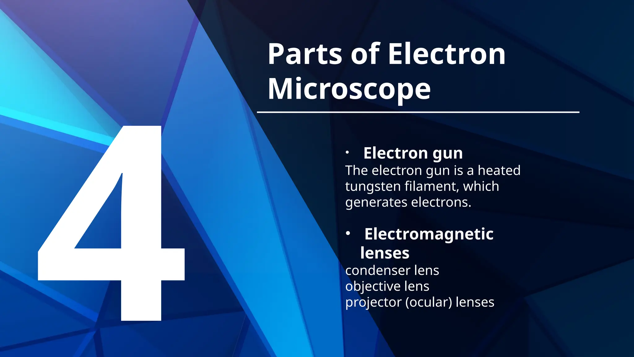 electron microscopy, types, Scanning electron microscope and ...