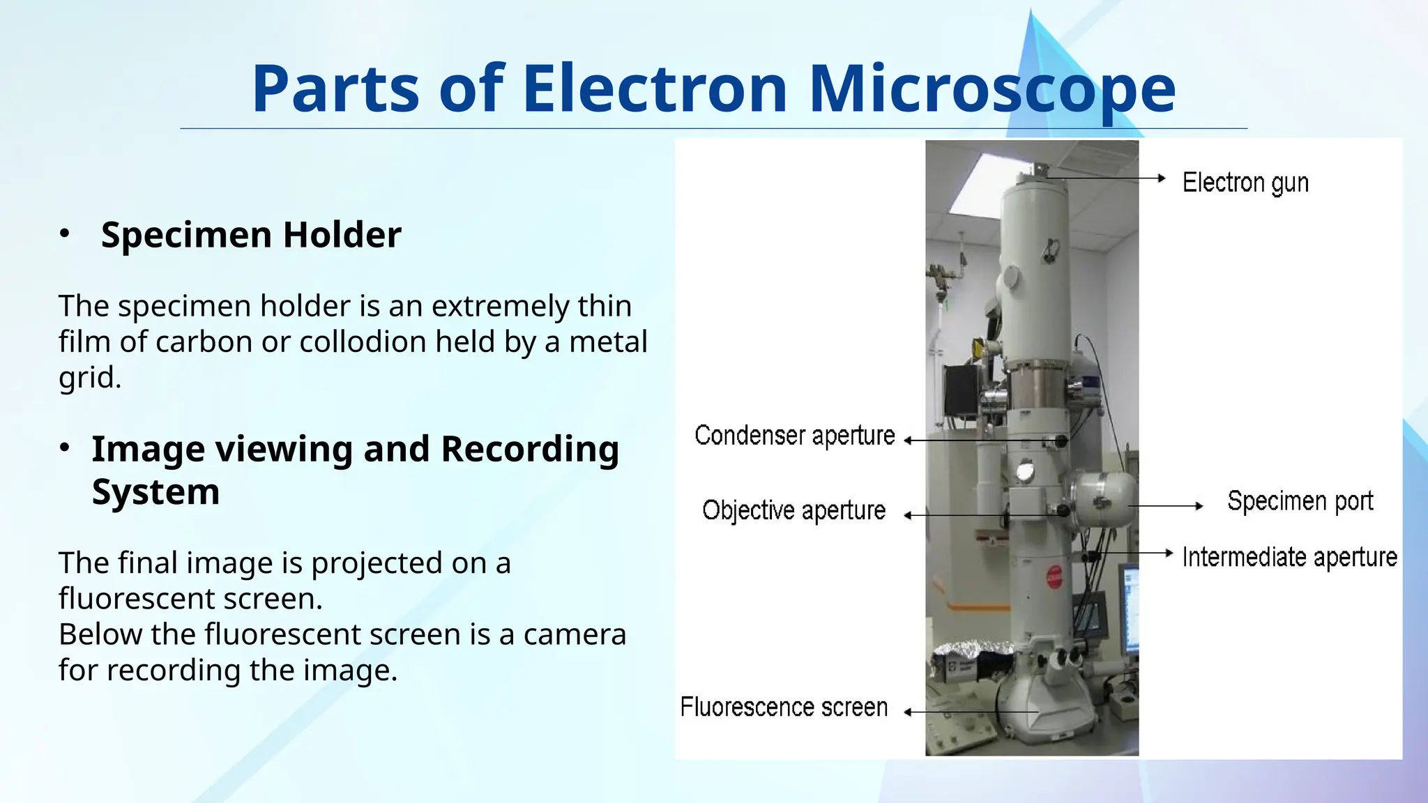 electron microscopy, types, Scanning electron microscope and ...