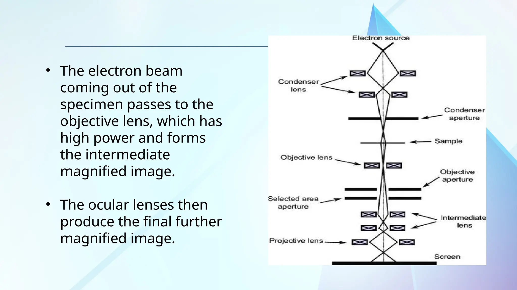 electron microscopy, types, Scanning electron microscope and ...