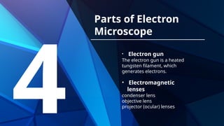 electron microscopy, types, Scanning electron microscope and ...