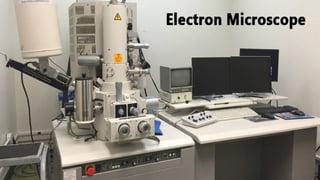 electron microscopy, types, Scanning electron microscope and ...