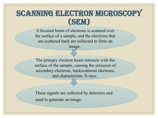 Electron Microscopy.pptx, type, advantage, Disadvantage | PPTX