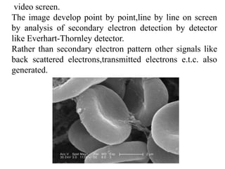ELECTRON MICROSCOPY-Scanning Electron MicroscopySEM.pptx
