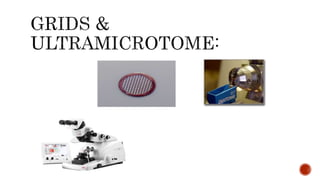 Electron microscopy, M. Sc. Zoology, University of Mumbai | PPT