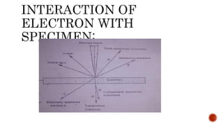 Electron microscopy, M. Sc. Zoology, University of Mumbai | PPT