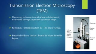 Electron microscopy ameena | PPT