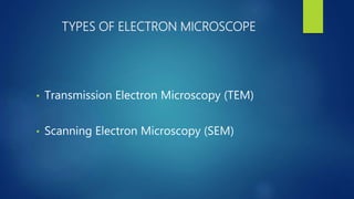 Electron microscopy ameena | PPT